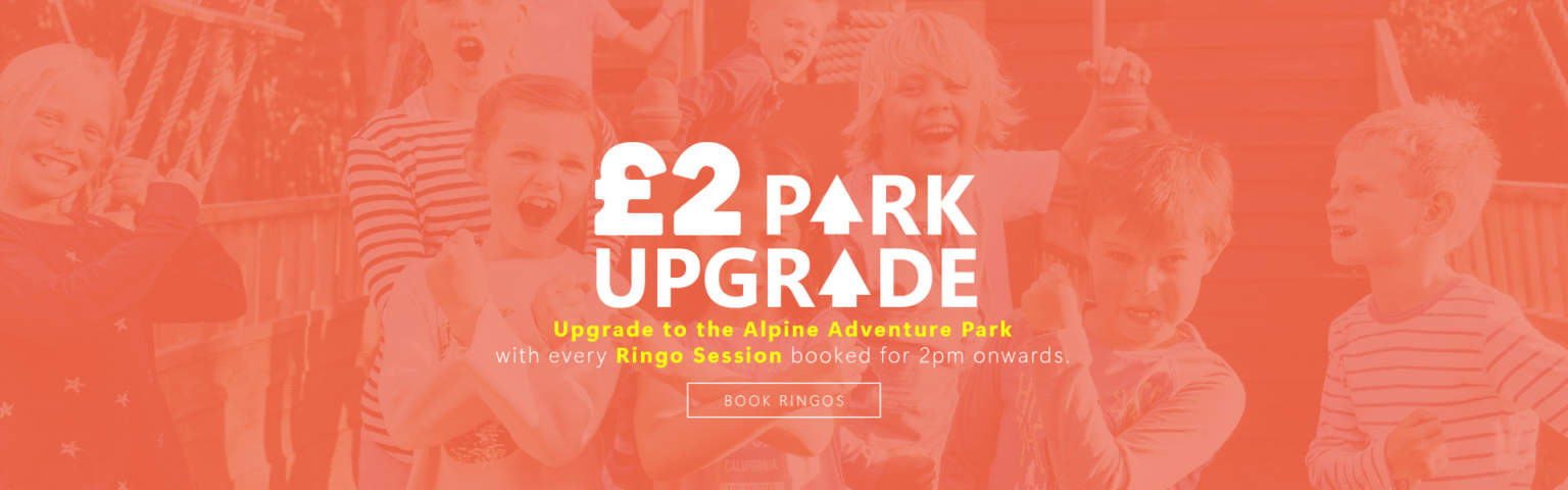 Home - Snowtrax Alpine Activity Centre Dorset UK